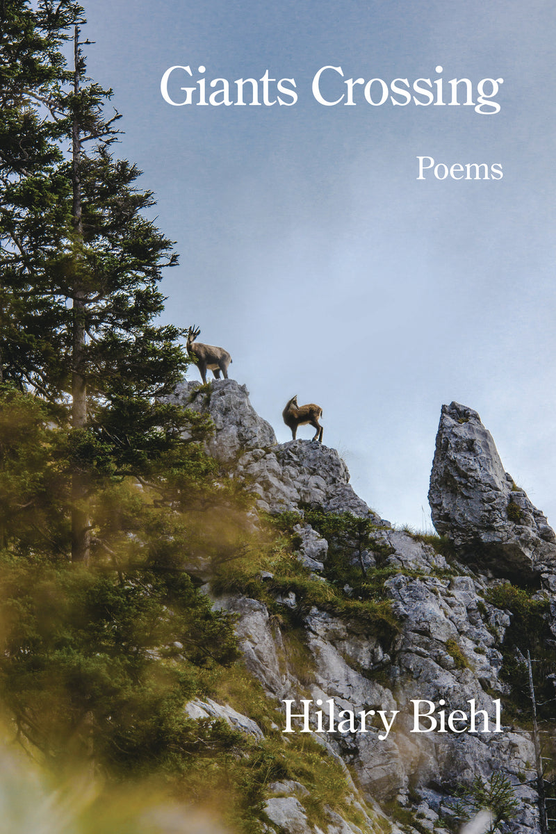 Giants Crossing – Kelsay Books