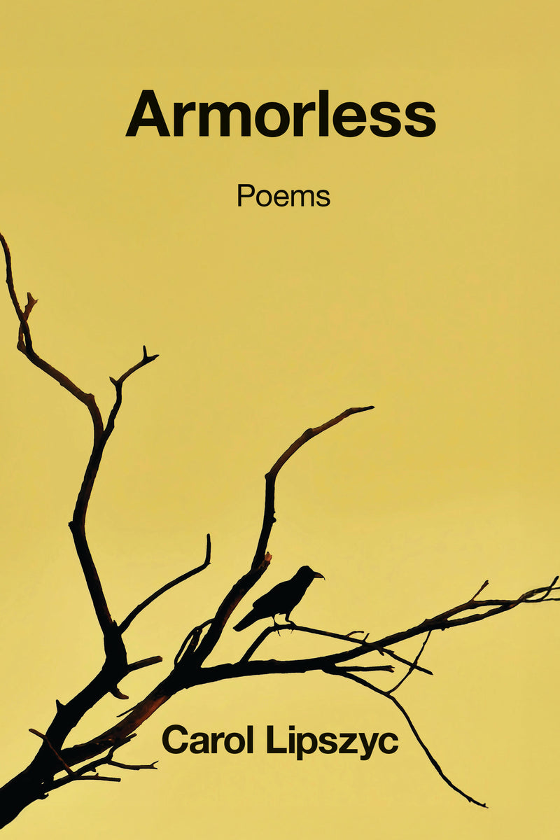 Armorless – Kelsay Books