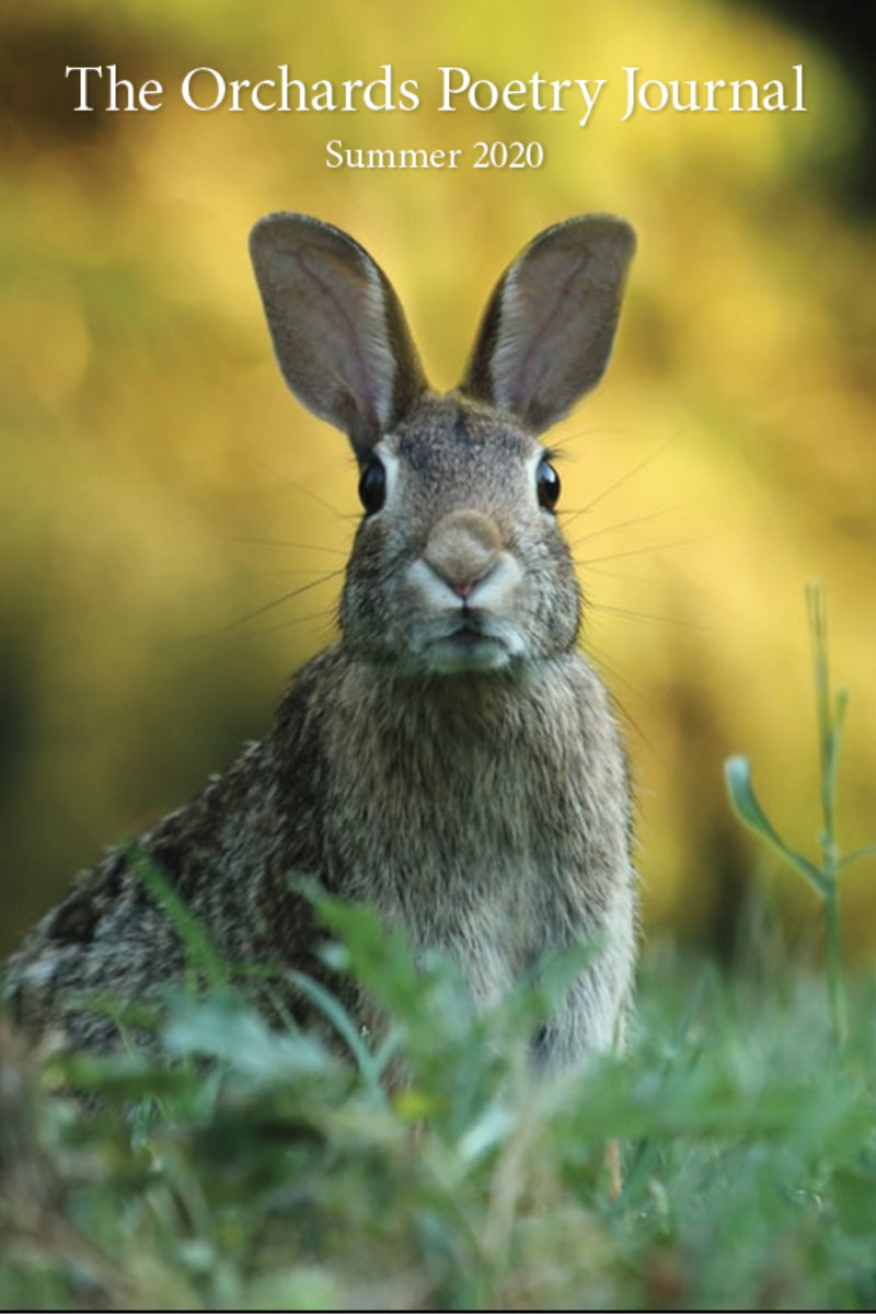 The Orchards Poetry Journal: Summer 2020 – Kelsay Books