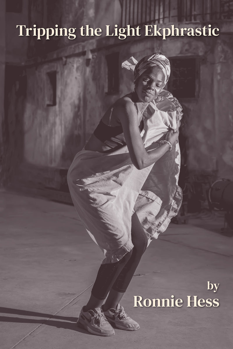 Tripping the Light Ekphrastic – Kelsay Books