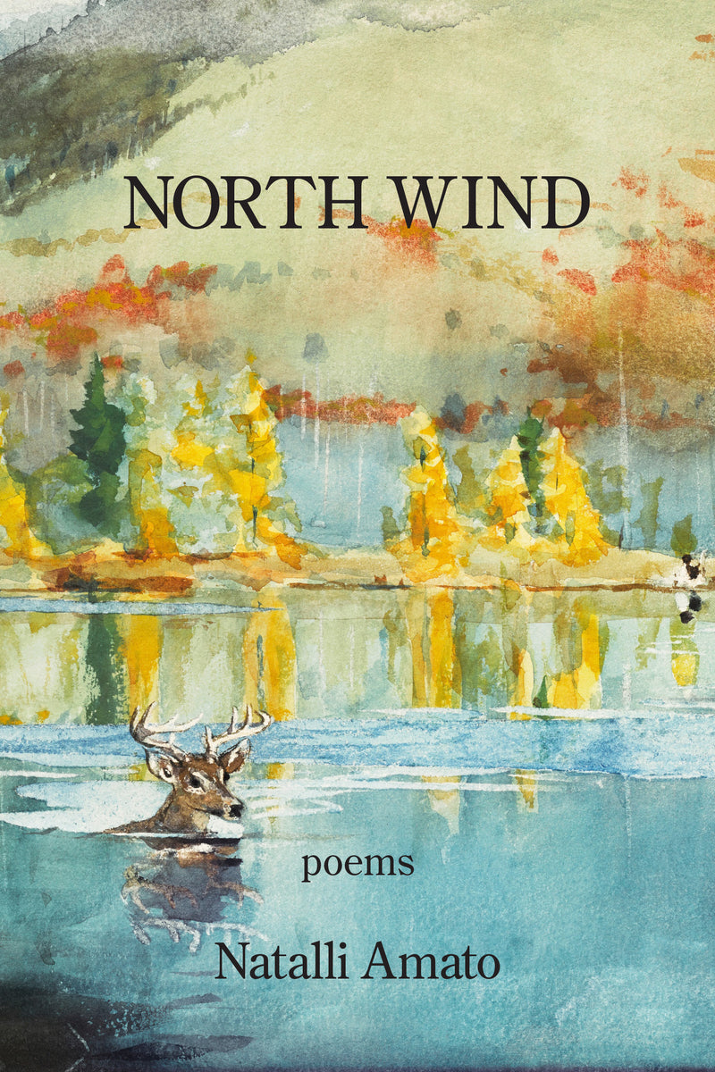 North Wind – Kelsay Books