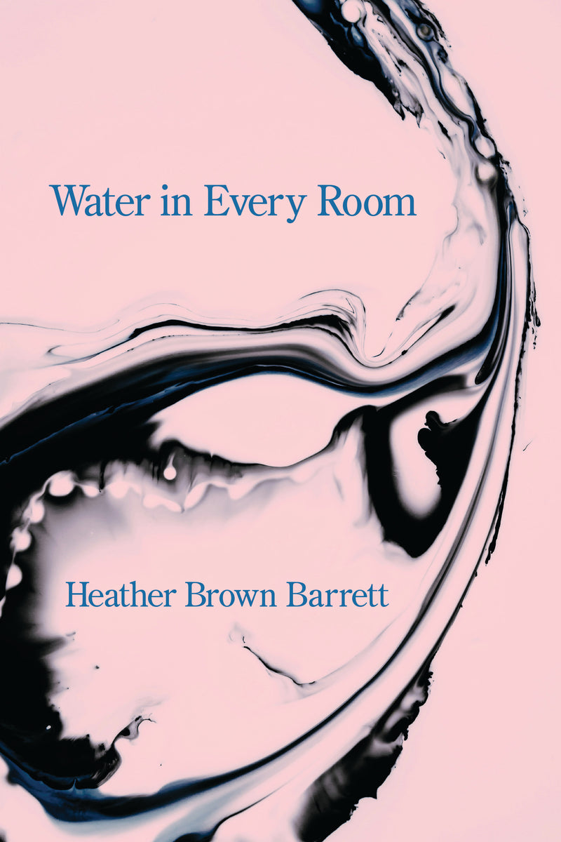 Water in Every Room – Kelsay Books