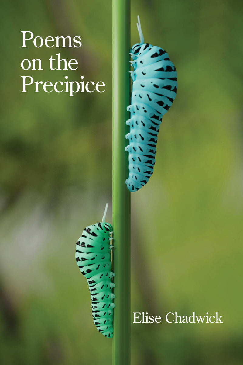 Poems on the Precipice – Kelsay Books