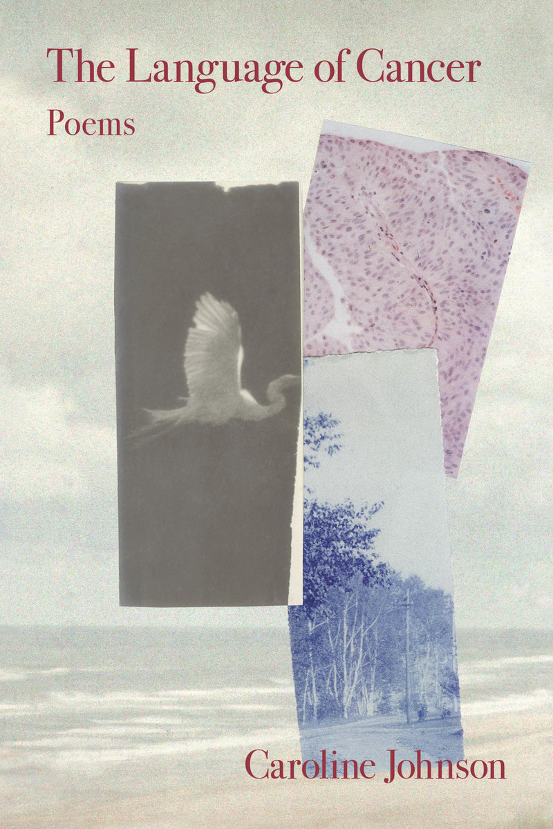 The Language of Cancer – Kelsay Books