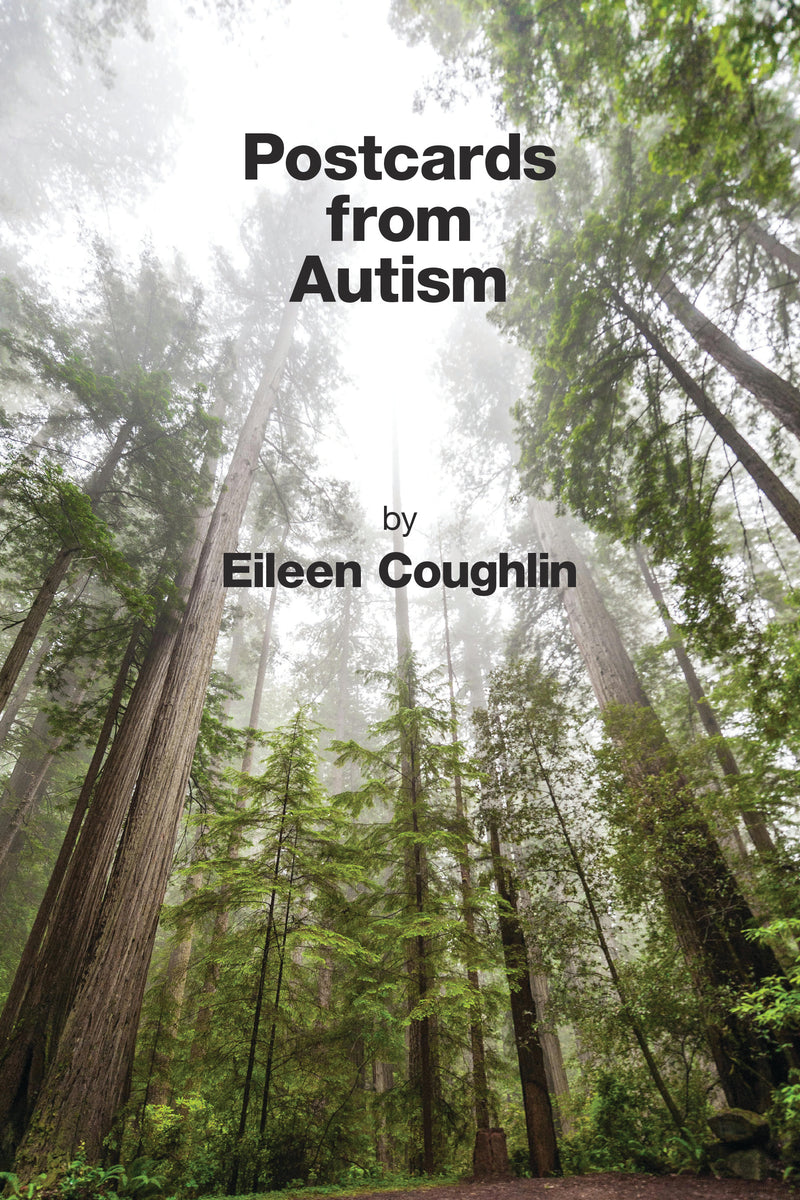 Postcards from Autism – Kelsay Books