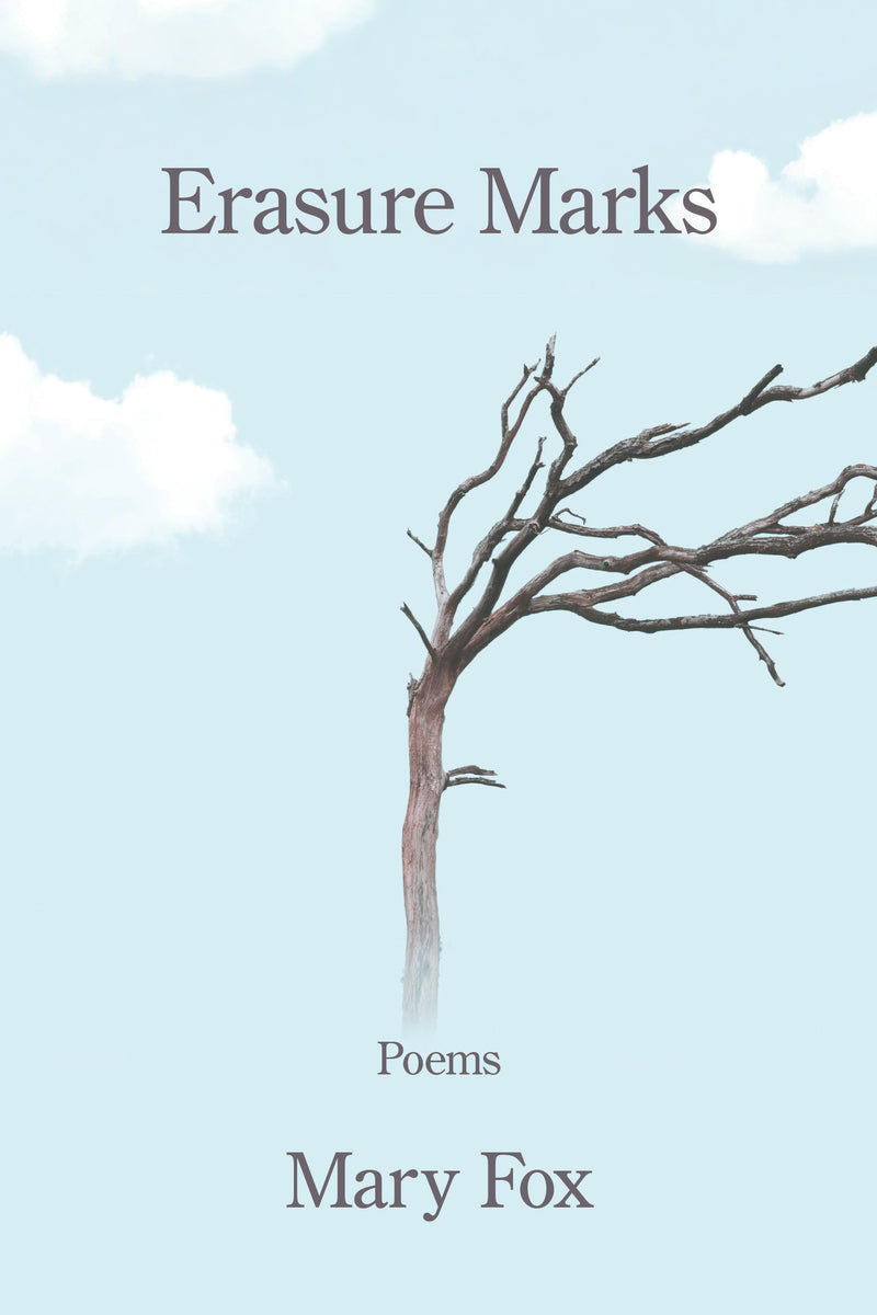 Erasure Marks – Kelsay Books