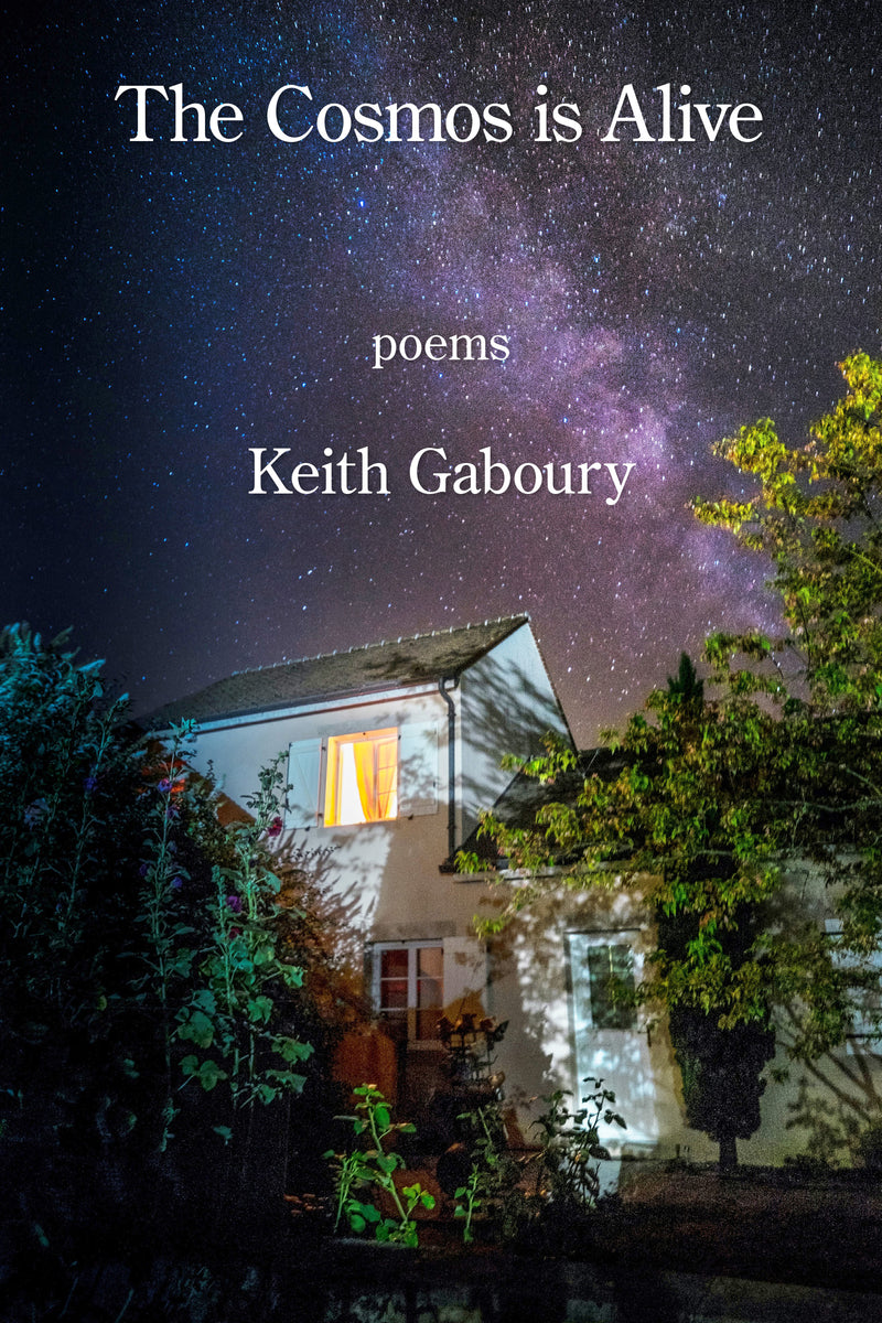 The Cosmos Is Alive – Kelsay Books