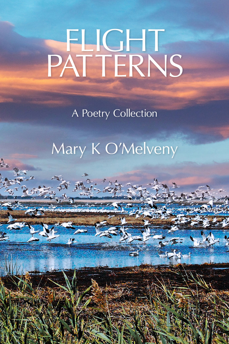 Flight Patterns – Kelsay Books