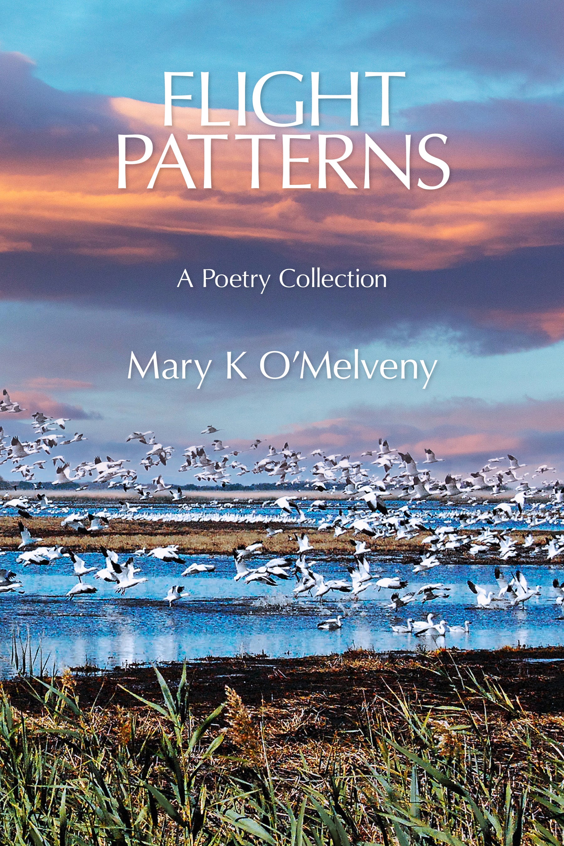 Flight Patterns – Kelsay Books