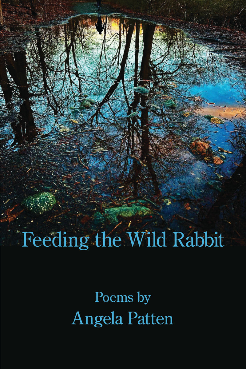 Feeding the Wild Rabbit – Kelsay Books
