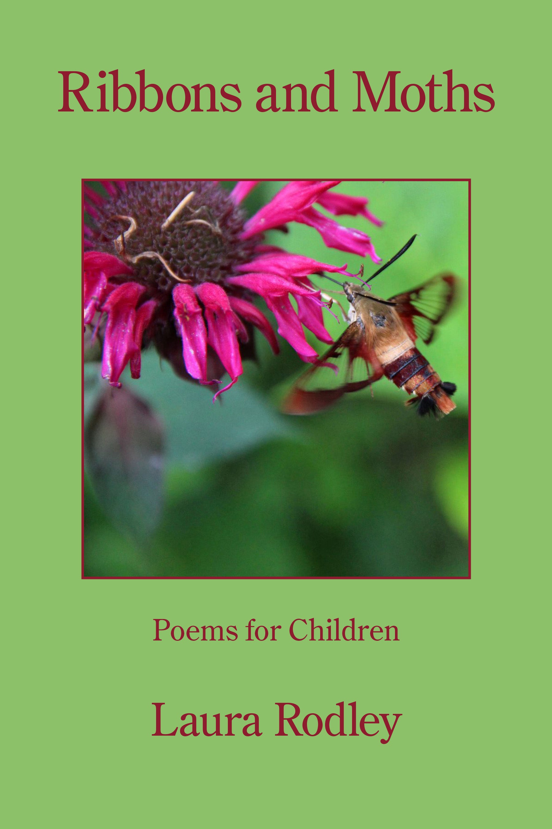 Ribbons and Moths: Poems for Children – Kelsay Books
