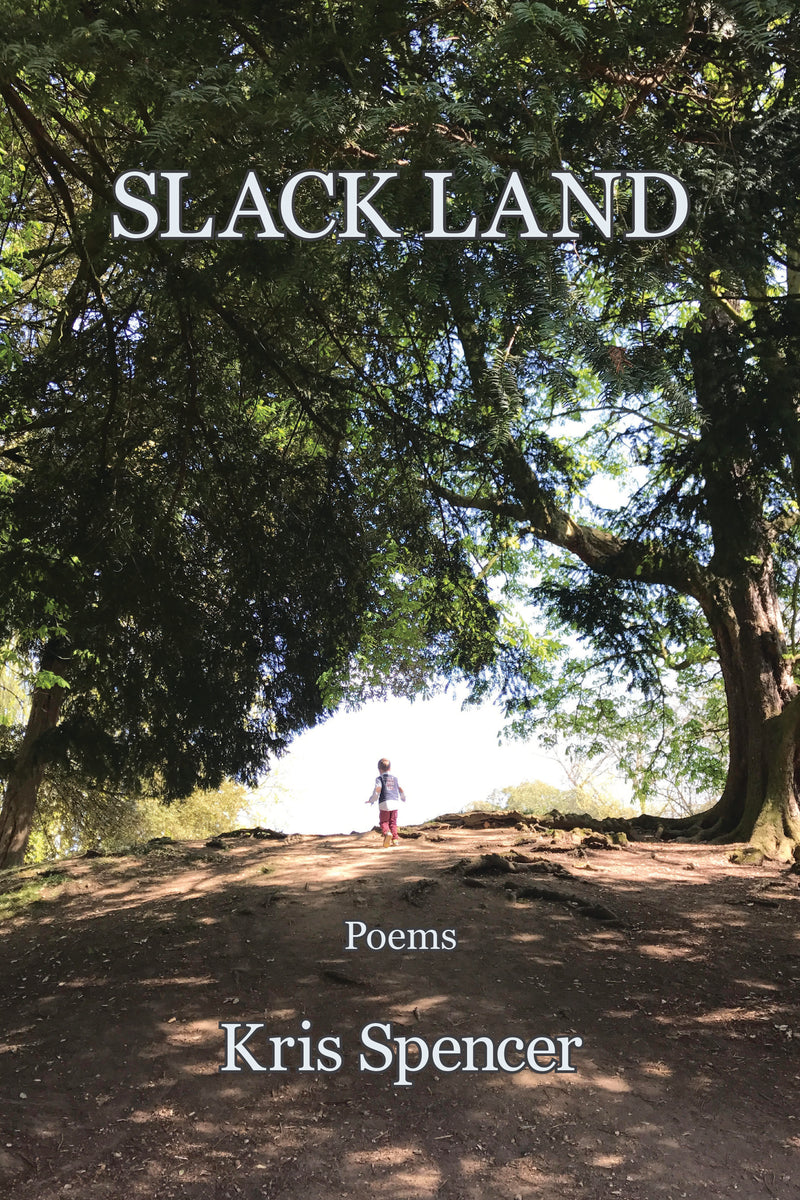 Slack Land – Kelsay Books