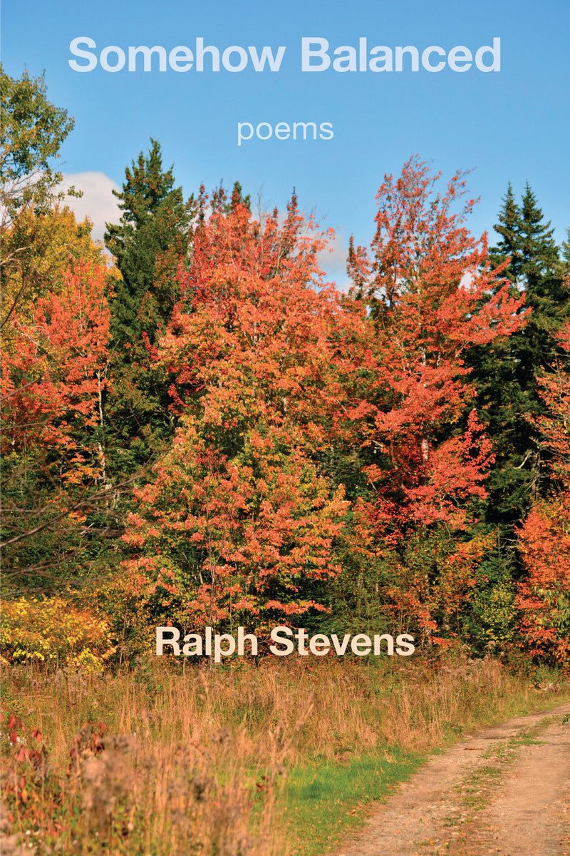 Somehow Balanced – Kelsay Books