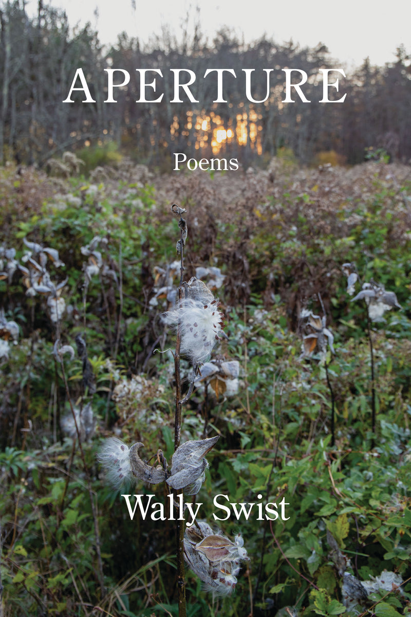 Aperture – Kelsay Books