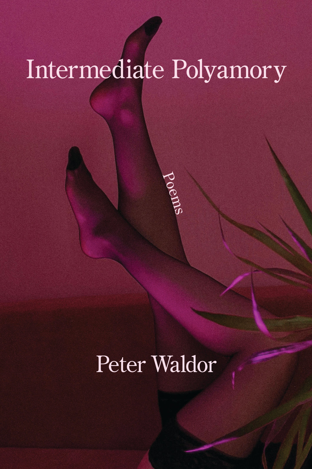 Intermediate Polyamory – Kelsay Books