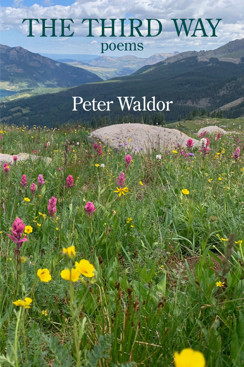 The Third Way – Kelsay Books