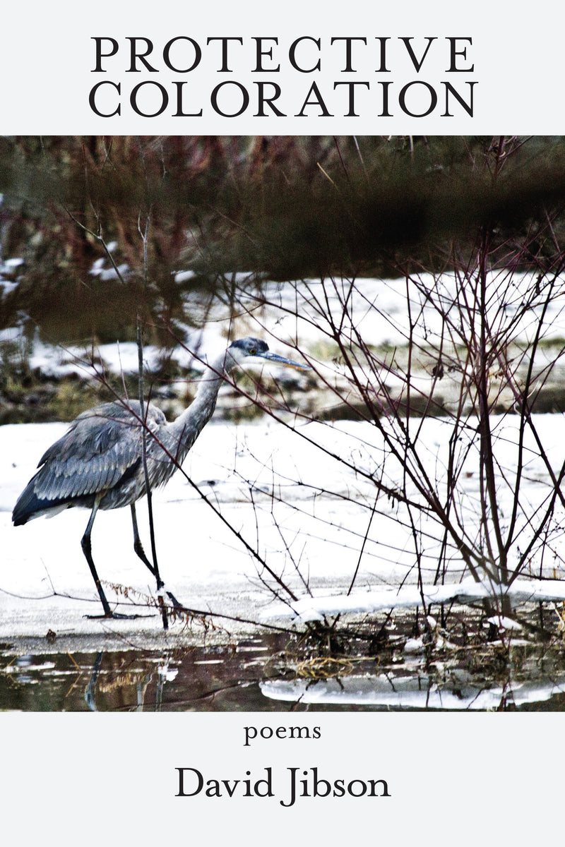 Protective Coloration – Kelsay Books