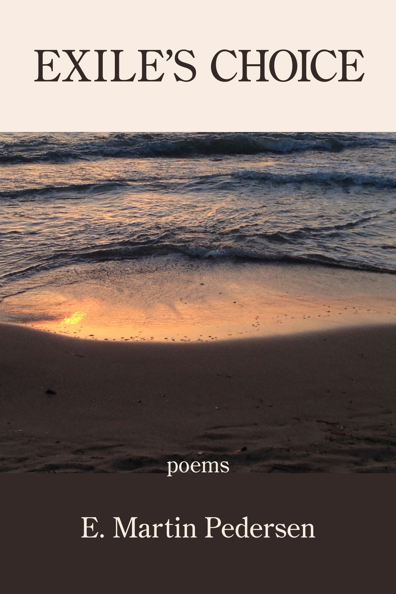 Exile’s Choice – Kelsay Books