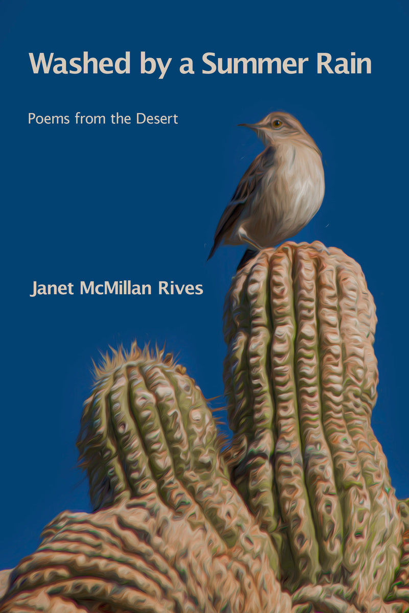 Washed by a Summer Rain: Poems from the Desert – Kelsay Books