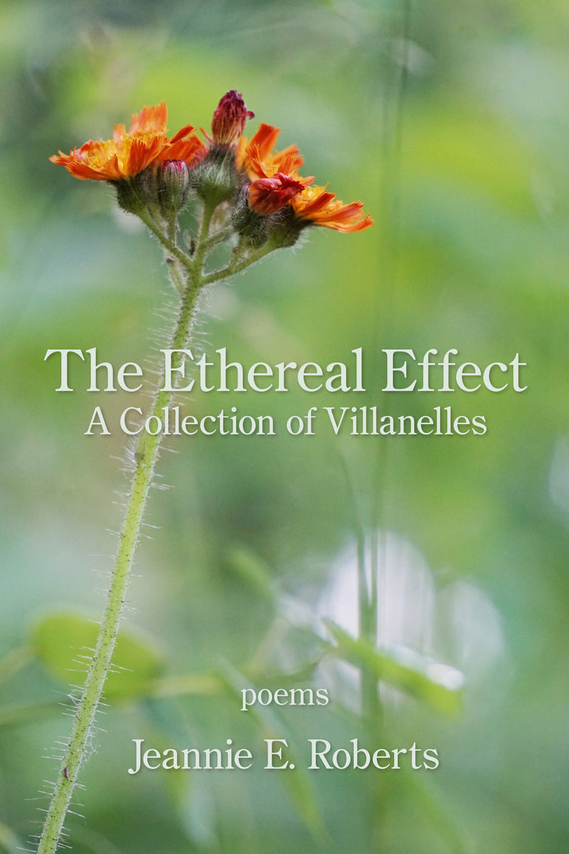 The Ethereal Effect—A Collection of Villanelles – Kelsay Books